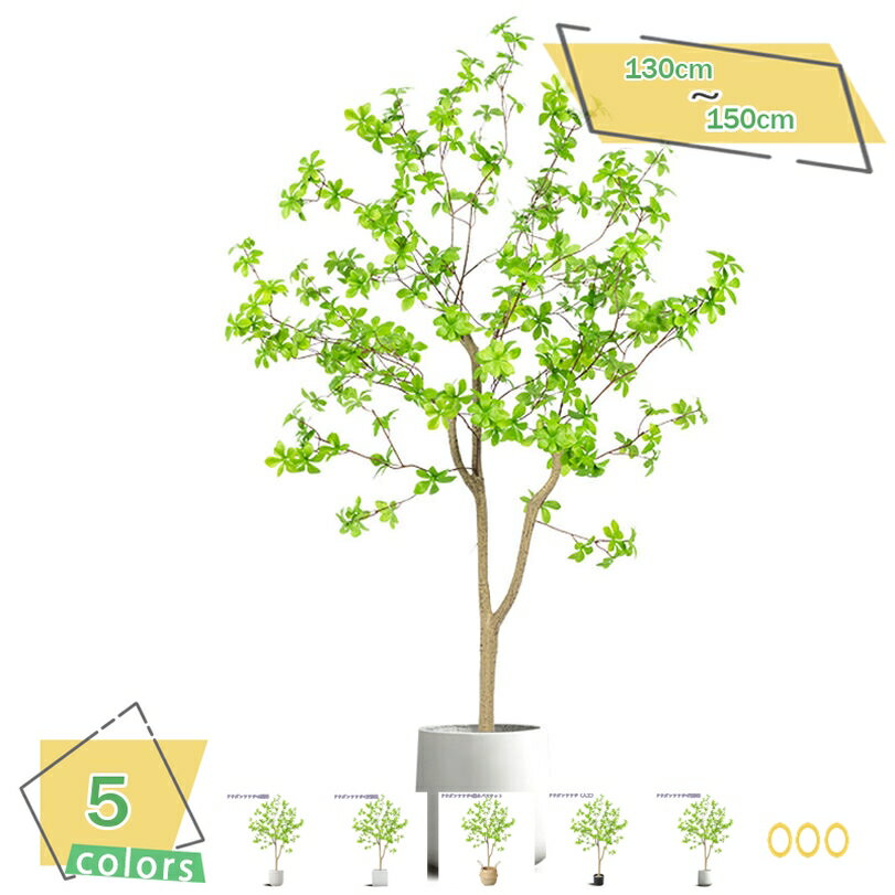 メイン素材：プラスチック、鉄【1、】一、プランターは写真をご参照ください。二、セットでご購入の場合、サイズの関係上、商品本体とプランターは別送となります。三、手作業による組み立てが必要。枝の形状は手で曲げることでその角度で固定され、美しく見...