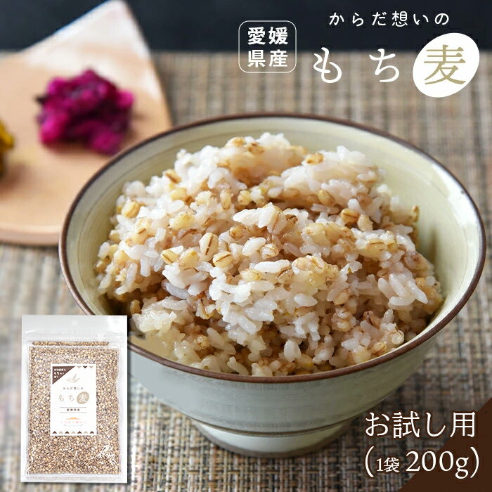 商品情報 名称【愛媛県産】もち麦 内容量200g×1袋 原材料名愛媛県産ダイシモチ 賞味期限【もち麦】製造日より365日 保存方法直射日光、高温多湿をさけ常温で保存してください。 備考・注意事項・開封後はお早目にお召し上がり下さい。【送料無...