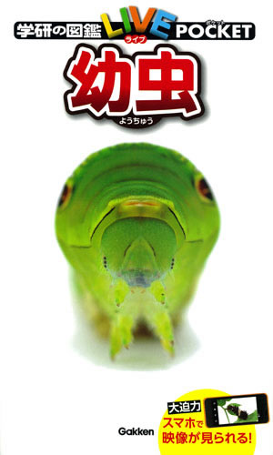 監修： 福田晴夫 ,岸田泰則 身近でよく見られる種を中心に、チョウ目などの幼虫を写真で掲載したポケットサイズの幼虫図鑑。特徴や近似種との見分け方を引き出し線でわかりやすく解説している。 持ち運びしやすいので、野外での自然観察に便利。ARで動...