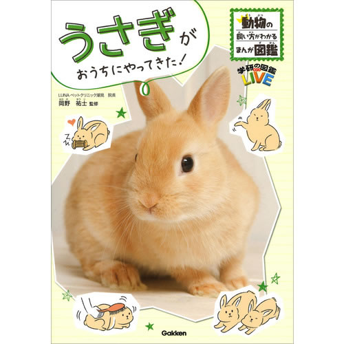 岡野祐士(監修) 子どもたちの「うさぎを飼いたい」をまんがで叶える！　お世話のしかたやコミュニケーション方法など、うさぎと仲良く暮らす方法をまんがと写真でわかりやすく解説。かわいい写真が満載。うさぎポスターほか、楽しい折込口絵つき！ 【サイ...