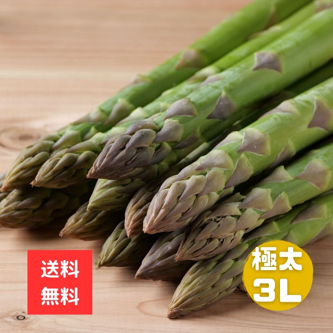 商品情報重量800g（鮮度保持袋に入れて発送いたします）極太！グリーンアスパラギフト　3Lサイズ800g　全国送料無料 北海道のアスパラガス農家から産地直送！ こんなアスパラ見たことない！【感動のアスパラ】 箱を開けてビックリのジャンボサイ...
