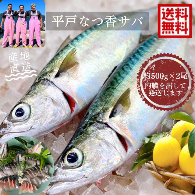 商品情報名称平戸なつ香サバ産地名長崎県養殖・解凍の別養殖　鮮魚内容量500g×2尾保存方法冷蔵注意事項内臓を出して調理しやすいようにして発送【7/1から発送開始】青空レストラン に出た フルーツ魚 送料無料　平戸なつ香サバ　約500g×2尾...