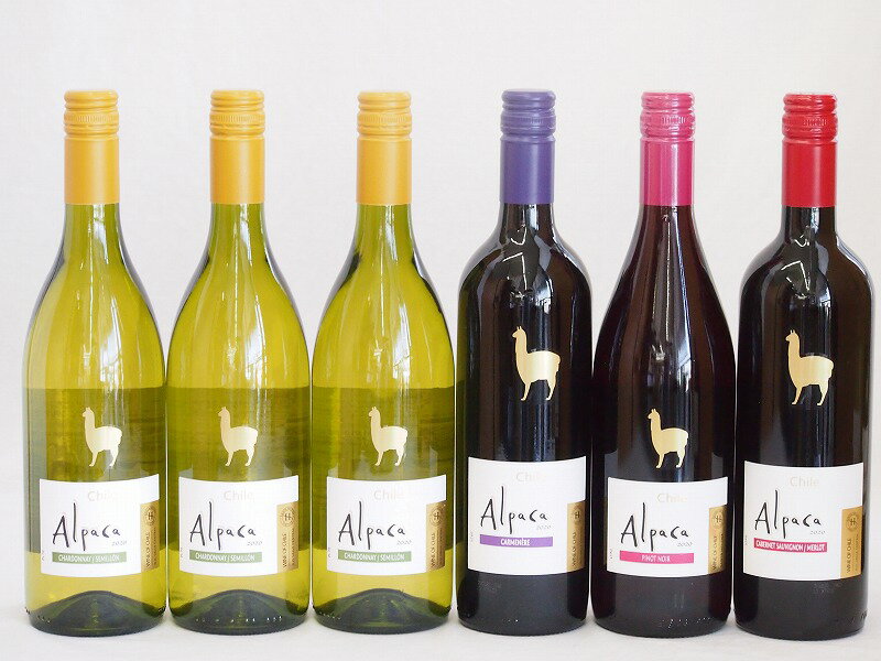 チリ産ワインアルパカ6本セット(赤ピノ・ノワール(ミディアムボディ) 赤カルメネール(フルボディ) 赤カベルネ・メルロー(ミディアムボディ) 白シャルドネ・セミヨン(辛口)) 750ml×6本チリ産ワインアルパカ6本セット(赤ピノ・ノワール...