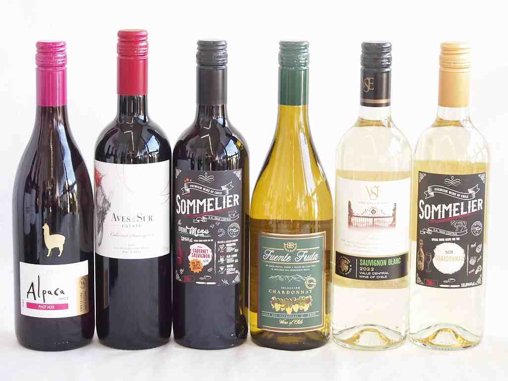 チリワインは、南アメリカに位置するチリの国内で製造されるワインを指します。近年、その品質や価格の手軽さから、ヨーロッパなど世界中の愛好家から注目され、人気の出ているワインの一つです。チリは雨量が少なく日照時間が長い地中海性気候の国で、ワイン...