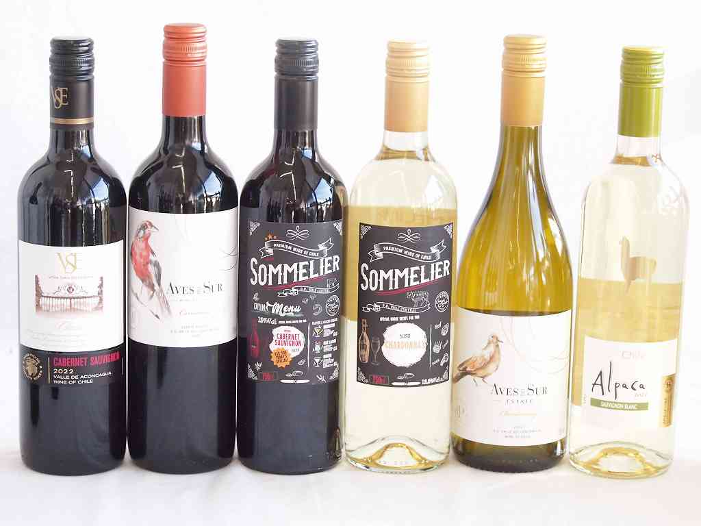 チリワインは、南アメリカに位置するチリの国内で製造されるワインを指します。近年、その品質や価格の手軽さから、ヨーロッパなど世界中の愛好家から注目され、人気の出ているワインの一つです。チリは雨量が少なく日照時間が長い地中海性気候の国で、ワイン...