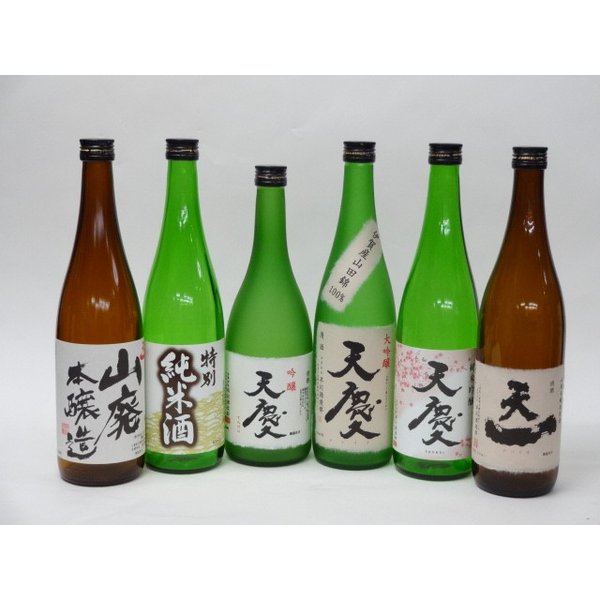 特選日本酒セット 天慶 天一 6本セット(天慶大吟醸 吟醸 純米吟醸 天一特別純米 山廃本醸造 山廃本醸造)720ml×6本 早川酒造
