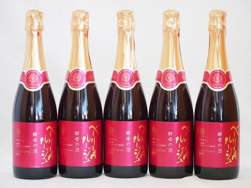 5本セット(山梨県産マスカット・ベーリーA　スパークリング赤ワイン ルージュ 酵母の泡 alc.11%やや辛口) 720ml×5本5本セット(山梨県産マスカット・ベーリーA　スパークリング赤ワイン ルージュ 酵母の泡 alc.11%やや辛口...