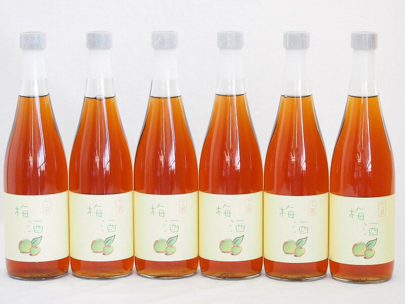 6本セット(梅酒文蔵18度(熊本県)) 720ml×6本6本セット(梅酒文蔵18度(熊本県)) 720ml×6本