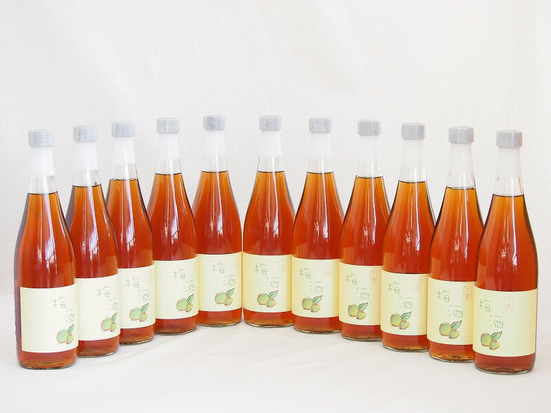 11本セット(梅酒文蔵18度(熊本県)) 720ml×11本11本セット(梅酒文蔵18度(熊本県)) 720ml×11本