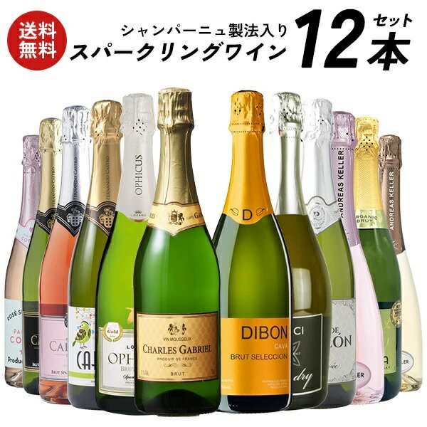 ＜＜ ITEM INFORMATION ＞＞ 名称 シャンパーニュ製法入り スパークリングワイン 12本セット [W][WT65] オーガニックワイン ロゼワイン カヴァ 入り フランスワイン イタリアワイン スペインワイン 商品詳細 スパ...