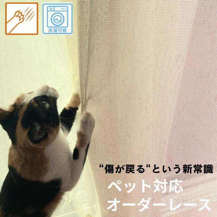 傷が戻る、というカーテンの新常識ペットがいても使い続けられる安心感 シェード（シングル・ダブル）通常のカーテン小窓・カフェカーテン 【ドラム式操作】　昇降操作が軽いプラスティックボールチェーン操作で、シェードを降ろす際はワンアクションで簡単...