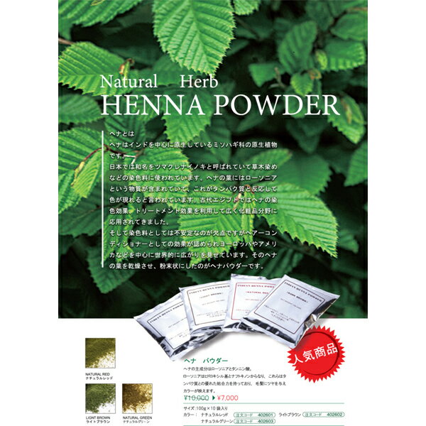 【容量】100g 【カラー】ライトブラウン※ご使用のモニター環境やデバイスの違いによって商品の色が多少異なる場合がございますのでご了承ください。【SALONJAPAN】髪の毛を保護してコシとツヤを 髪の毛も染められる！ナチュラル素材 ヘナパ...