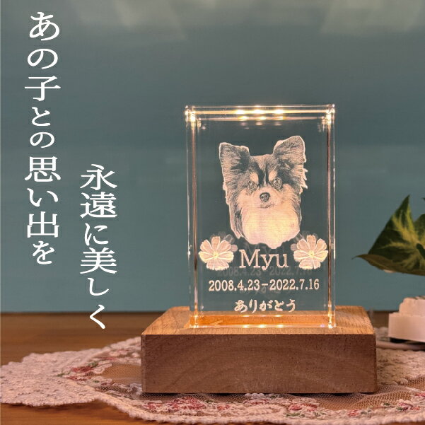 このクリスタルガラス製のペット供養位牌は、愛するペットとの思い出を永遠に刻むための特別な記念碑です。内部彫刻技術により、ペットの目の輝きまで鮮明に再現され、あの子との大切な時間を美しく保存します。名入れや遺影の写真を3D画像として刻むことで...
