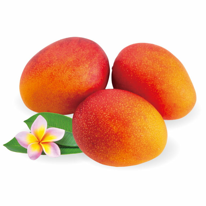 商品詳細ITEM INFORMATION 商品名 【宮古島産　マンゴー1.3kg】 内容量 1．3kg（3〜6玉） お届け・送料について 〜なくなり次第終了 ※数量限定、（なくなり次第終了となります。） 発送開始日からお届けまでの所要日数：...