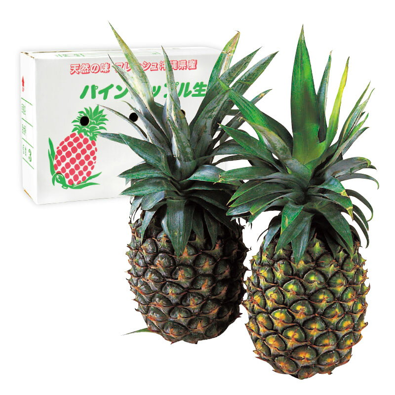 商品詳細ITEM INFORMATION 商品名 【沖縄県産　パイン　（2個）パイン1個約1kg】 商品について 沖縄県産の甘くて、ジューシーな南国のフルーツ。 ギフトやプレゼントにもオススメです☆ 内容量 沖縄産パイン2玉（パイン1玉約1...
