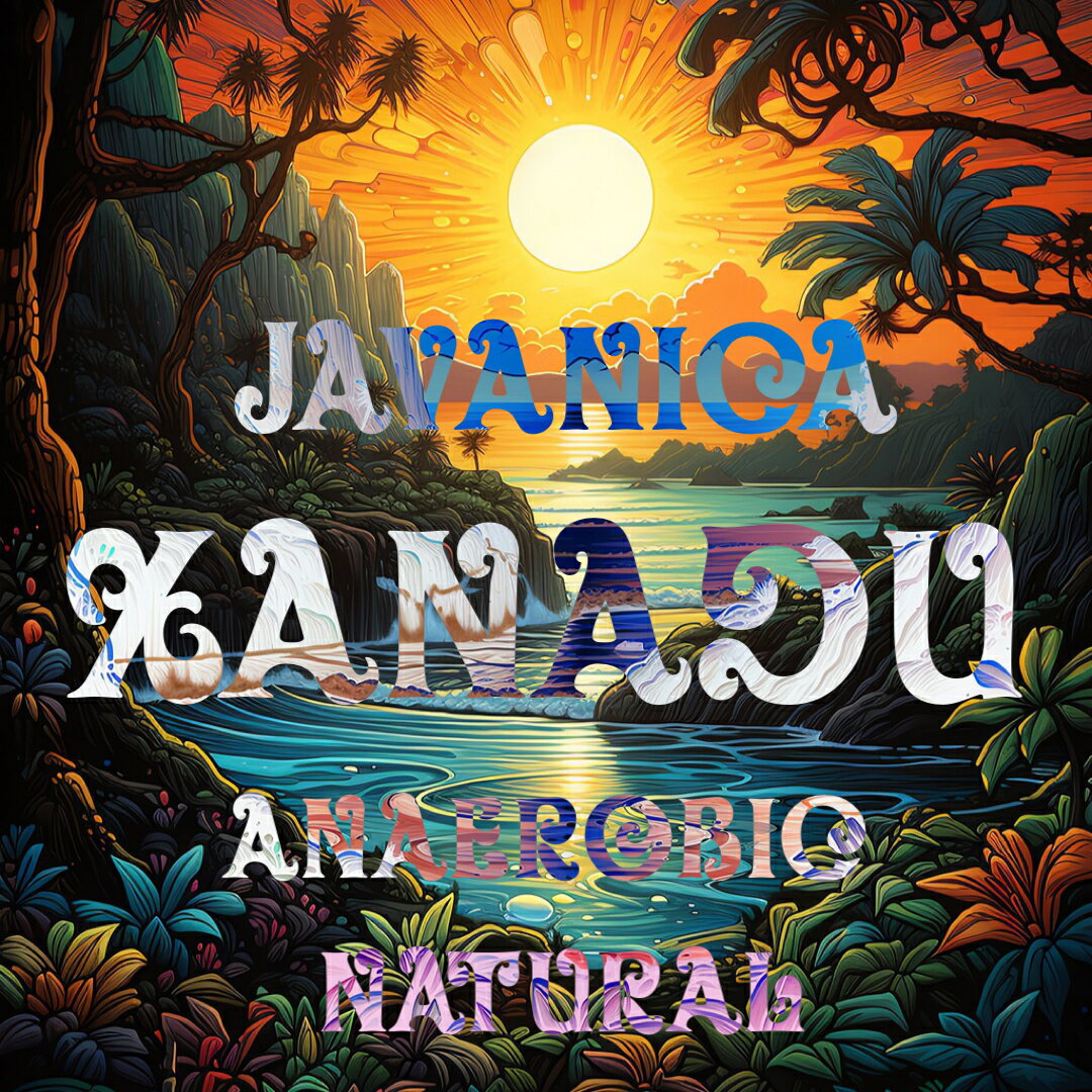 ニカラグア｜ジャバニカ【生豆】｜モンテクリスト農園｜アナエロビック(嫌気性発酵)ナチュラル｜Xanadu 「ザナドゥ」【 生豆】 コーヒーの外皮と甘味たっぷりの果肉の風味と嫌気性発酵相まって、果実の香り洋酒の香りと浅煎り〜深煎りまで魅惑的な...