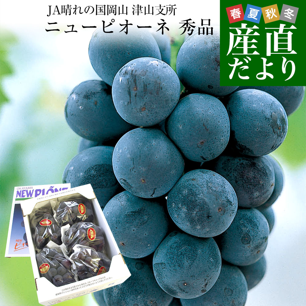 ギフト対応 岡山県JA晴れの国岡山より産地直送します。 商品名：ニューピオーネ 秀品 産地：岡山県 内容量：約2キロ（4房から5房） ニューピオーネは「巨峰」と「カノンホールマスカット」を交配して生み出された和製のぶどうです。芳香のある濃い...