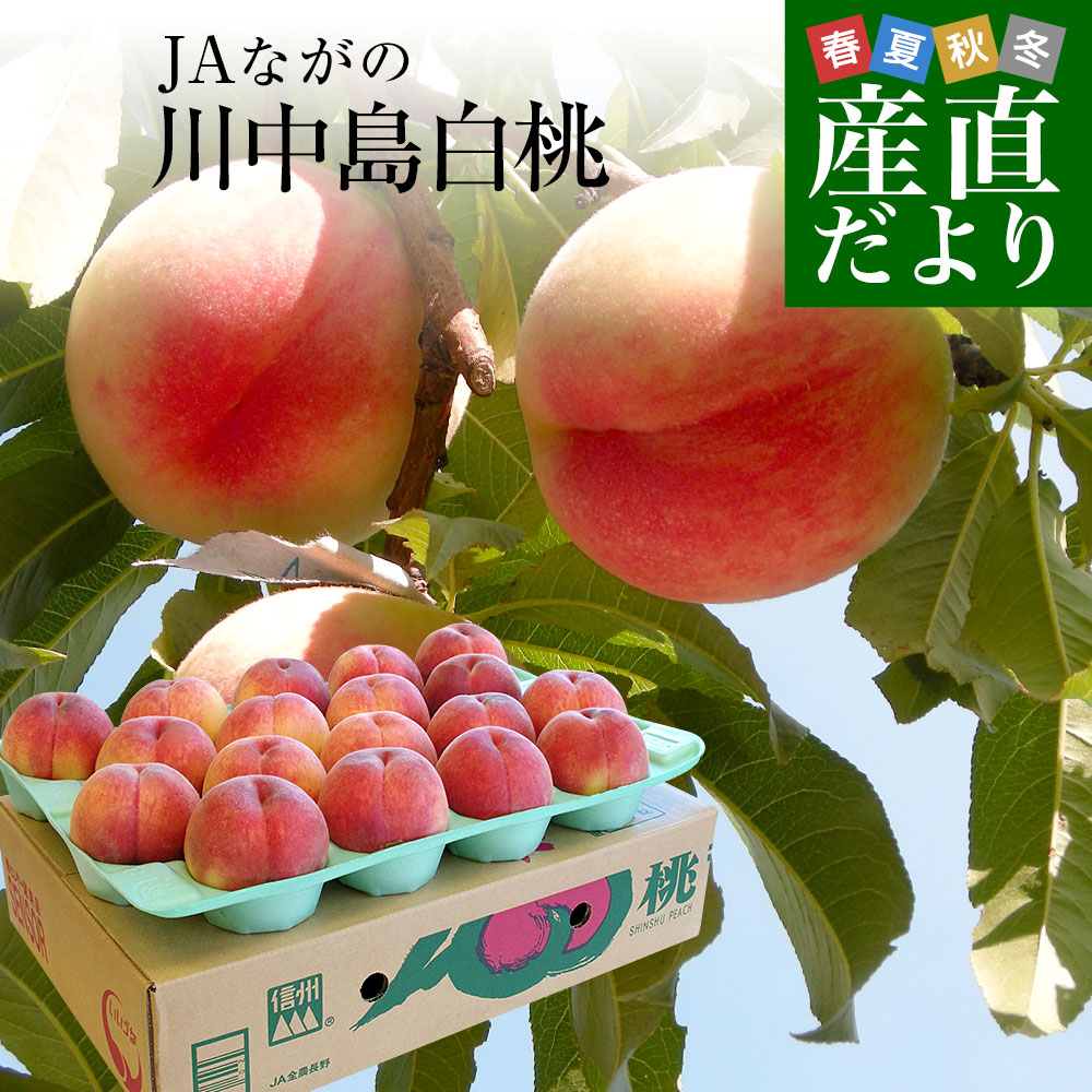 ギフト対応 東京都大田市場より発送いたします。 商品名：桃（川中島白桃） 産地：長野県 内容量：約5キロ（13玉から18玉） きれいな空気・おいしい水・太陽の光。大地の恵みをいっぱい浴びた、濃厚で甘み豊かな飯綱町の桃をご堪能ください。 ＜商...