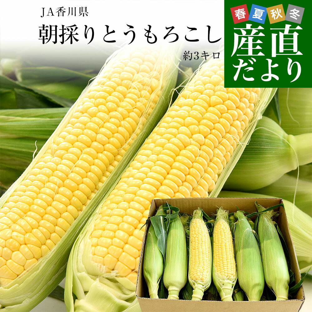 ギフト対応 香川県JA香川県より産地直送します。 商品名：とうもろこし（ゴールドラッシュまたは味来） 産地：香川県 内容量：約3キロ2LからLサイズ　6本から10本入り とうもろこしは加熱するとさらに甘みが際立つのが魅力。レンジで温めるだけ...