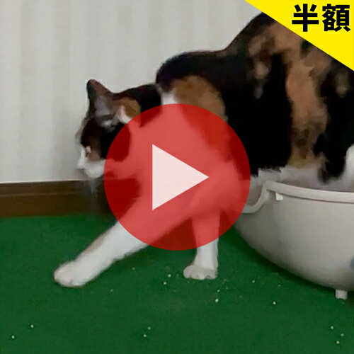商品説明日本製、防水、水洗いOK猫砂マット　人工芝タイプ大判マット　90×70国内玄関マットメーカー製 人工芝タイプの猫砂マットです。トイレ時の猫砂の散らばりを緩和させます。玄関マットのノウハウが活かされた造りで、フローリング上で使用しても...