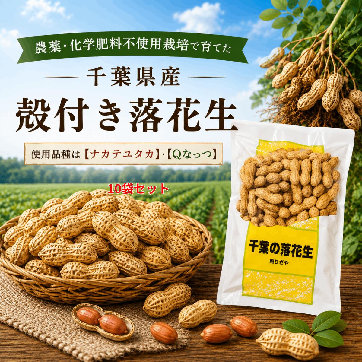 商品情報商品説明■農薬・化学肥料不使用栽培で育てた千葉県産の落花生を煎りたてでパックしました。使用品種は【ナカテユタカ】と【Qなっつ】、香ばしく甘みのある人気の品種です。名称落花生商品名農薬不使用栽培落花生（殻付き） 180g10袋セット内...