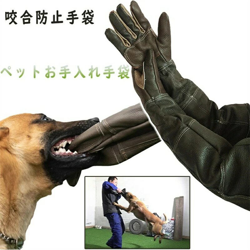 ◆商品配送について◆ 発送途中で箱が潰れる可能性あります.ご理解お願いします。 サイズは人工測定であり、1-2 cmの誤差がある可能性があるので理解してください。 何かご質問やご不明な点等がございましたら、お気軽にご連絡下さい。何卒よろしく...