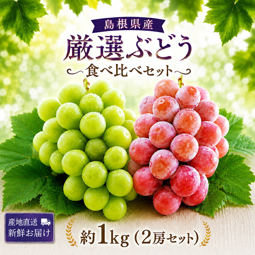 内容量：島根県産シャインマスカット クイーンニーナ食べ比べセット 約1kg サイズ不揃い（2房） 【配送について】ヤマト運輸「常温便」ですが、ご不安な方は「冷蔵便」もご選択いただけます。 獲れたてをお届けします。 送料無料 (但し、北海道1...
