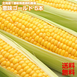 品　名 恵味ゴールド 数　量 5本（2Lサイズ） 原材地 北海道十勝新得産（萌和農場） 保存方法 当日中に食べない場合は、 ゆでて十分冷ましてから冷凍保存してください。 同　梱 同時発送の場合可能同梱可【常温】 同梱可【冷蔵】 包　装 とう...