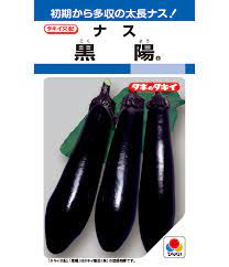 商品情報品種の特性極早生で初期収量の多い長ナス品種。果形は太めで重量感があり、果ぞろいと秀品率が高い。果色は濃黒紫色でつやがあり、色ボケ果と石ナスの発生が少ない。草姿は中開性で、枝の発生がよく初期から多収。栽培のポイント定植は1番花開花直前...