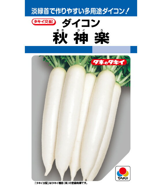 商品情報品種の特性秋まき年内どりに適する淡緑首の総太りダイコンで、内部まで青肉になりにくい。形状の乱れが少なく、肌が美しい。汎用性のある肉質で漬け物やおろし、刺身のツマなど幅広い用途が可能。適期栽培では、播種後60日で根長38cm、根径8c...