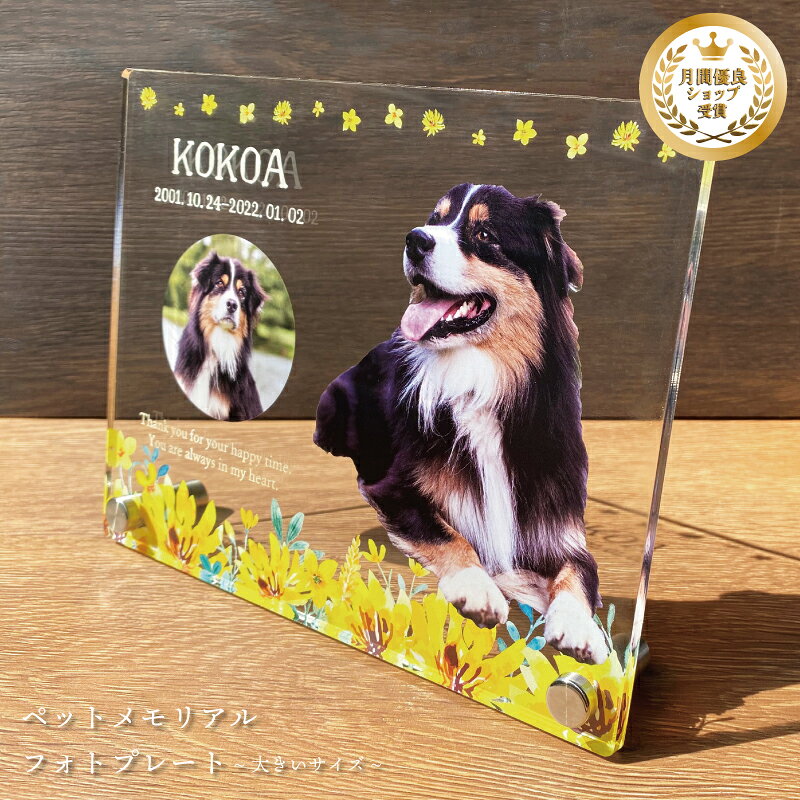 その他フレームデザインはこちらから