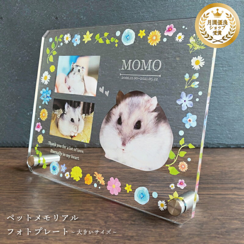 その他フレームデザインはこちらから
