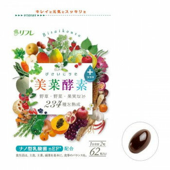野草・野菜・果実など、なんと234種もの素材を熟成した「植物発酵食品」です。元気な毎日に必要な栄養素も、しっかり補います。商品区分健康食品サイズ個装サイズ：16×10×1cm重量個装重量：33g仕様賞味期間：製造日より720日生産国日本fk...