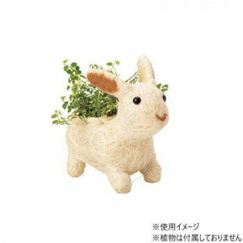 可愛いアニマルポットです。※水を直接かけると変色・色落ちするため、ご注意ください。サイズ125×260×H220mm、内寸:φ90×H95mm(平均)個装サイズ：26.0×22.0×12.5cm重量0.23kg個装重量：300g素材・材質天...