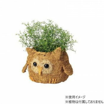 可愛いアニマルポットです。※水を直接かけると変色・色落ちするため、ご注意ください。サイズ170×160×H135mm、内寸:φ90×H95mm(平均)個装サイズ：17.0×16.0×13.5cm重量0.15kg個装重量：200g素材・材質天...