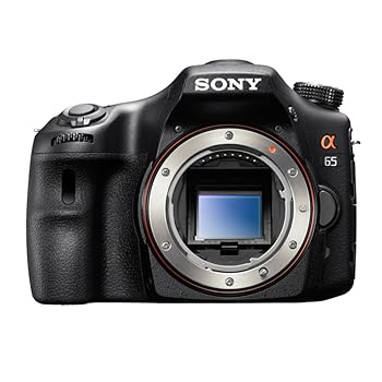 【中古】［非常に良い］ソニー SONY ミラーレス一眼 α65 ボディ SLT-A65V【メーカー名】【メーカー型番】【ブランド名】ソニー(SONY) ミラーレス一眼 【商品説明】ソニー SONY ミラーレス一眼 α65 ボディ SLT-A...