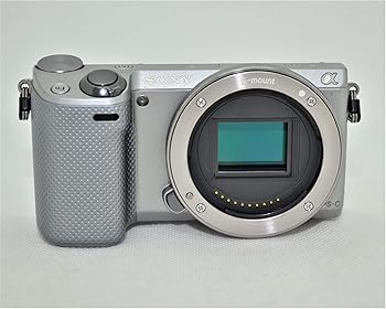 【中古】NEX-5R シルバー ボディ【メーカー名】【メーカー型番】【ブランド名】ソニー(SONY) ミラーレス一眼 【商品説明】NEX-5R シルバー ボディ画像はサンプル写真のため商品のコンディション・付属品の有無については入荷の度異な...