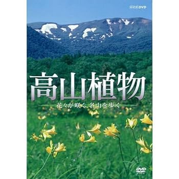 【中古】高山植物 〜花々が咲く名山を歩く〜【NHKスクエア限定商品】【メーカー名】【メーカー型番】【ブランド名】NHKエンタープライズ ジャンル別 【商品説明】高山植物 〜花々が咲く名山を歩く〜【NHKスクエア限定商品】画像はサンプル写真の...