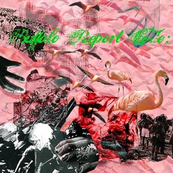 【中古】Buffalo Report Code:【メーカー名】【メーカー型番】【ブランド名】Flamingo Generation J-POP, ヒップホップ KITAKANTO SKILLZ: Artist【商品説明】Buffalo Re...