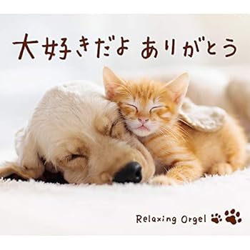 【中古】大好きだよ ありがとう / ヒーリング CD BGM 音楽 癒し グッズ リラックス ミュージック アルバム ギフト プレゼント 睡眠 寝かしつけ オルゴール 主題歌 人気 ドラマ 米津玄師 髭男 曲 イージーリスニング【メーカー名...