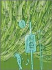 【中古】People's History of Less Than Jake [DVD]【メーカー名】【メーカー型番】【ブランド名】Fueled By Ramen ポップス, ロック LESS THAN JAKE: Actor【商品説明】P...