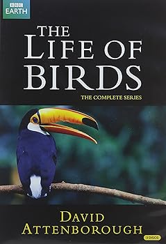 【中古】BBC The Life of Birds -鳥の世界- DVD-BOX (10エピソード, 489分) BBC EARTH ライフシリーズ [DVD] [Import] [PAL, 再生環境をご確認ください]【メーカー名】【メーカ...