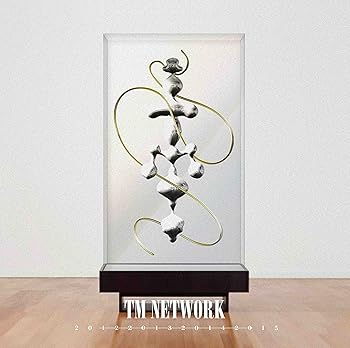 【中古】TM NETWORK 2012-2015(Blu-ray Disc7枚組)【メーカー名】【メーカー型番】【ブランド名】エイベックストラックス J-POP TM NETWORK: Actor【商品説明】TM NETWORK 2012-...