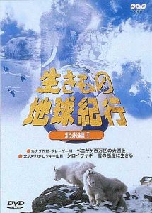 【中古】生きもの地球紀行 北米編1 [DVD]【メーカー名】【メーカー型番】【ブランド名】株式会社ソニー・ピクチャーズ エンタテインメント ドキュメンタリー, ホビー・実用 【商品説明】生きもの地球紀行 北米編1 [DVD]画像はサンプル写...