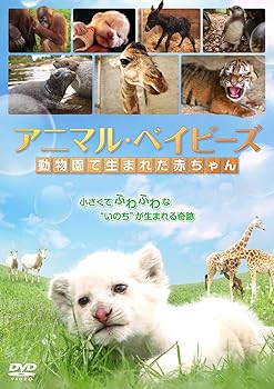 【中古】アニマル・ベイビーズ 動物園で生まれた赤ちゃん [DVD]【メーカー名】【メーカー型番】【ブランド名】【商品説明】アニマル・ベイビーズ 動物園で生まれた赤ちゃん [DVD]画像はサンプル写真のため商品のコンディション・付属品の有無に...