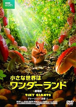 【中古】小さな世界はワンダーランド/劇場版 [DVD]【メーカー名】【メーカー型番】【ブランド名】ギャガ ドキュメンタリー 斎藤工: Actor; マーク・ブラウンロウ: Director【商品説明】小さな世界はワンダーランド/劇場版 [D...