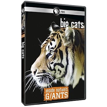 【中古】Inside NatureS Giants: Big Cats [DVD]【メーカー名】【メーカー型番】【ブランド名】PBS ホビー・実用 Richard Dawkins: Actor; David Dugan: Director;...