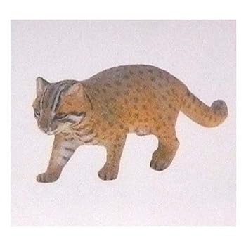 【中古】フルタ＆海洋堂 チョコエッグ 日本の動物コレクション 第5弾 121：ツシマヤマネコ ほ乳類食玩フィギュア【メーカー名】【メーカー型番】【ブランド名】フルタ(Furuta) フィギュア・コレクタードール 【商品説明】フルタ＆海洋堂 ...