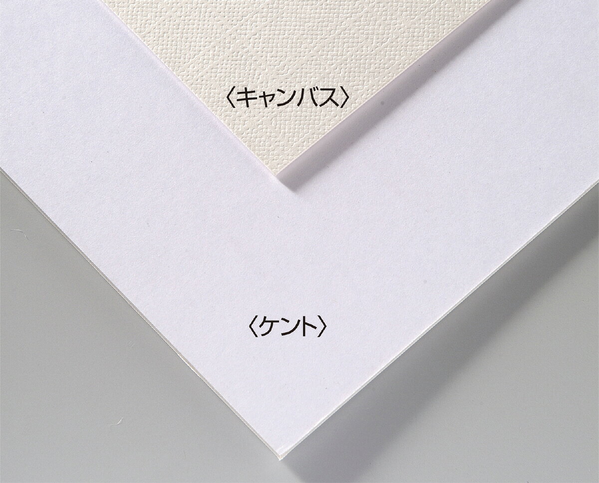 商品情報サイズB4（257×364×1.5mm）重さ109g素材備考掲載中の商品はメーカー発注商品を多数含んでおります。お申し込みの商品が、「生産未定、中止品、メーカー在庫切れ」等で入荷予定がない際にキャンセルとさせていただく場合もございま...
