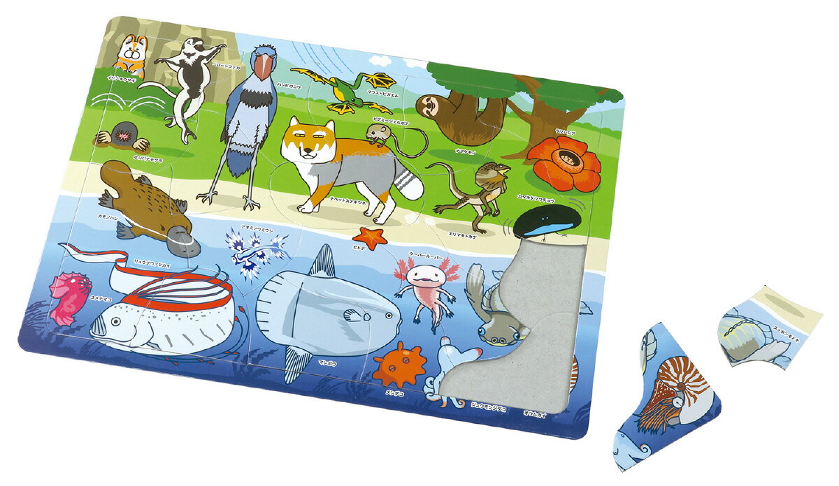 商品情報サイズ375×267×3mm重さ208g素材紙生産国中国備考掲載中の商品はメーカー発注商品を多数含んでおります。お申し込みの商品が、「生産未定、中止品、メーカー在庫切れ」等で入荷予定がない際にキャンセルとさせていただく場合もございま...